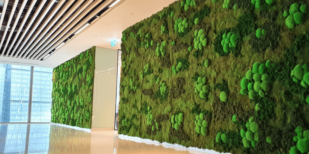 Moss Wall Features for UAE Residential and Commercial Spaces