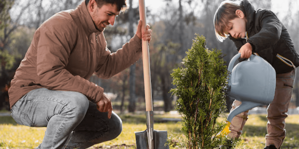 The Ghaf Tree: Sustainable Desert Landscaping Solution