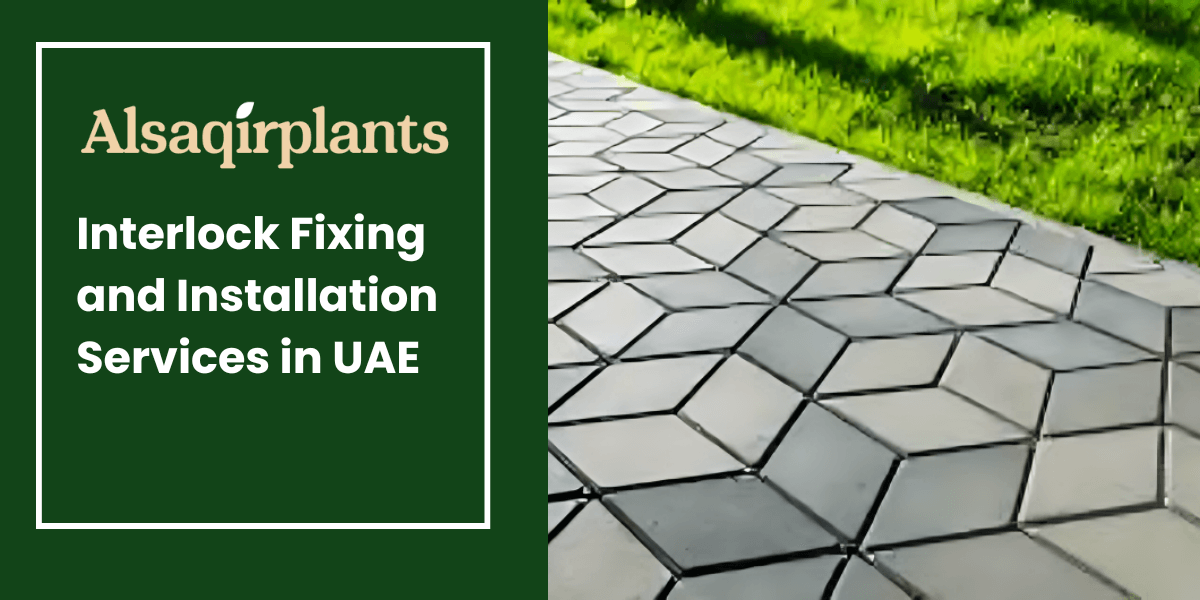 Expert Interlock Installation and Repair Services in UAE