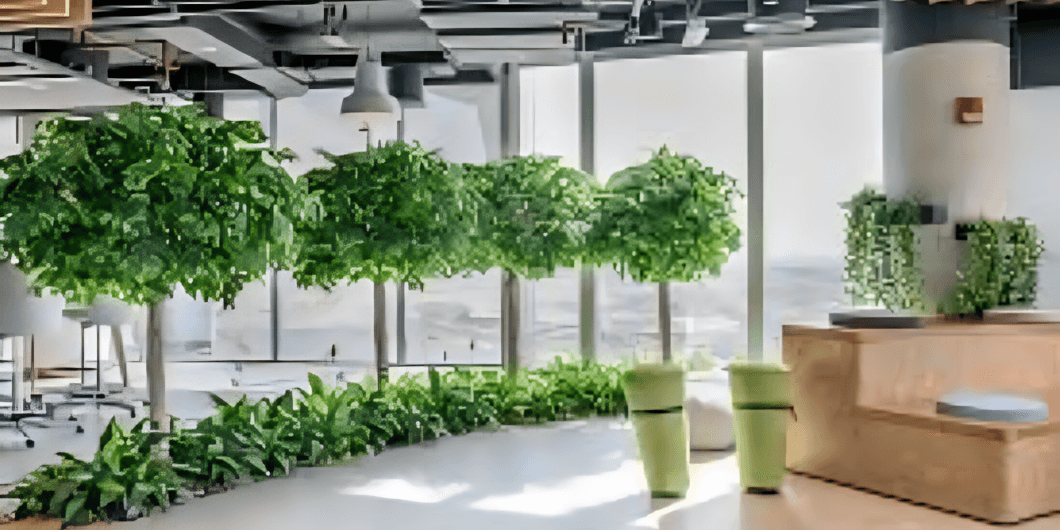 Indoor Office Plants for a Healthier and Stylish Workspace